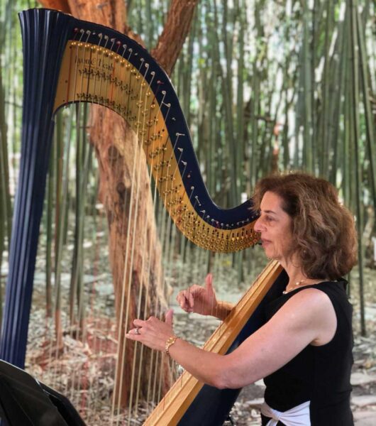 Contact Atlanta Harpist Lisa Handman